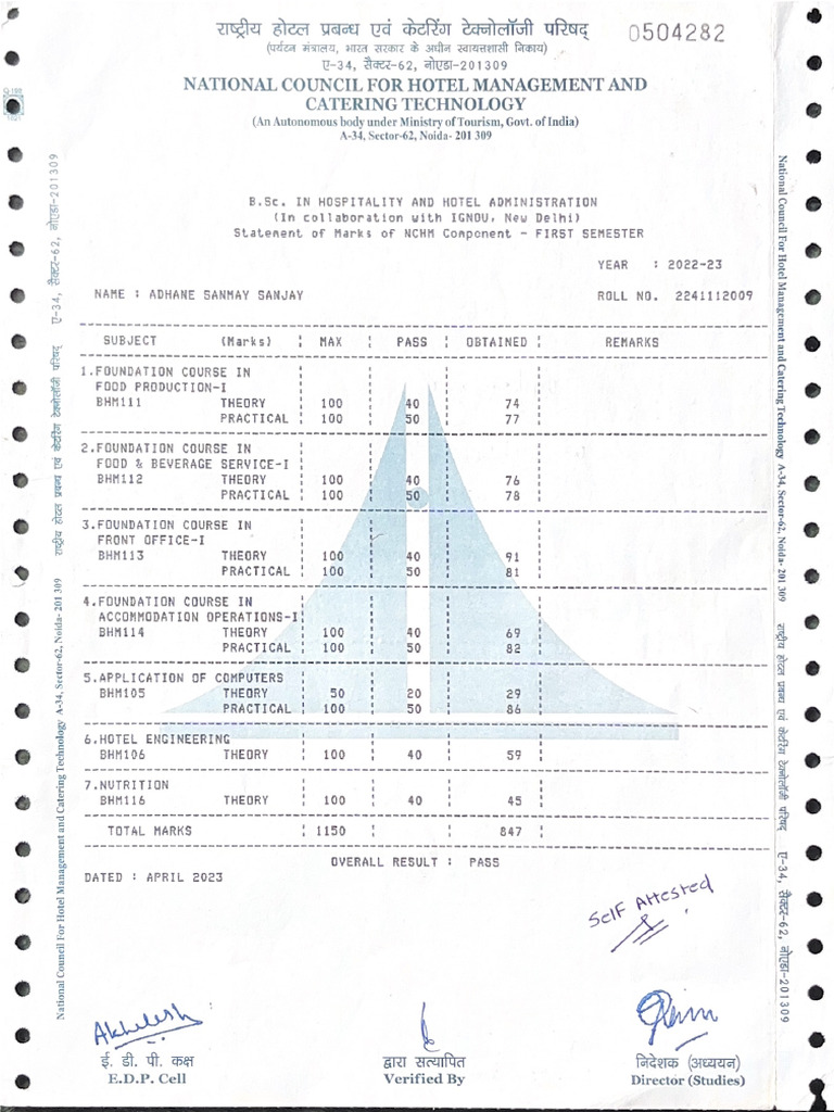 Mark Sheet | PDF