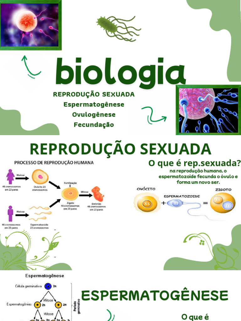 Reprod Humana | PDF