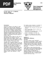 Dar Conversion | PDF | Common Law | Social Institutions