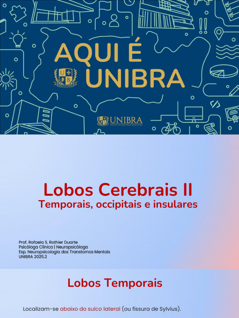 Funções dos Lobos Cerebrais Humanos | PDF | Lobo temporal | Córtex cerebral
