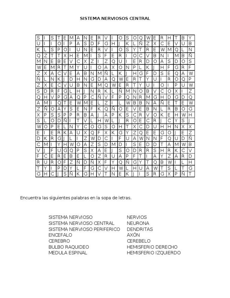 Sopa de Letras: Sistema Nervioso | PDF | Sistema nervioso | Anatomía