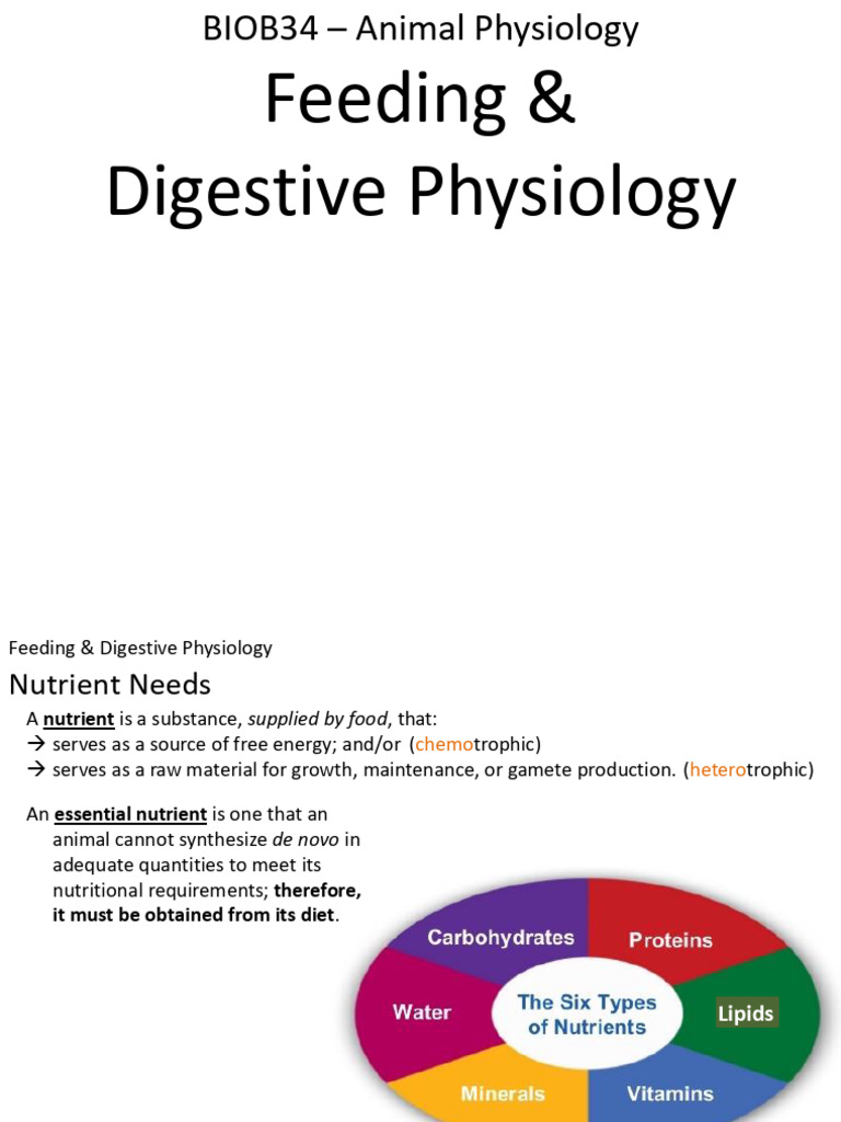 4 - Feeding and Digestive Physiology | PDF | Ruminant | Digestion
