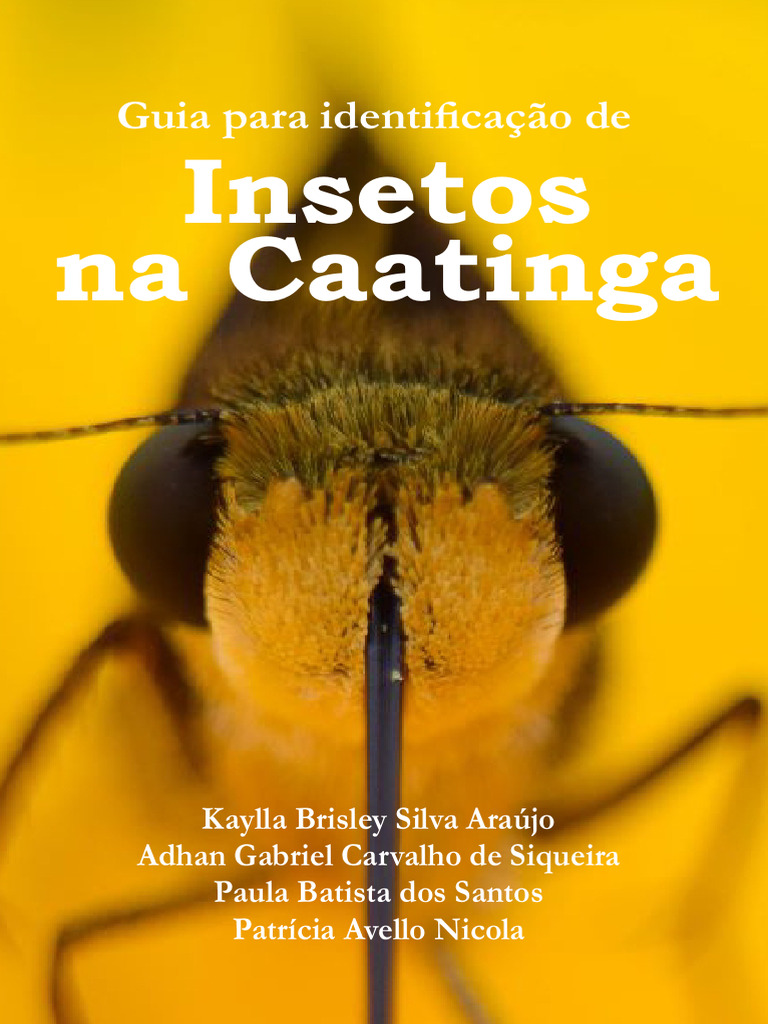 Guia de Identificação de Insetos na Caatinga | PDF | Insetos | Artrópodes