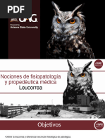 Tipos y causas de leucorrea vaginal | PDF | Especialidades Medicas ...