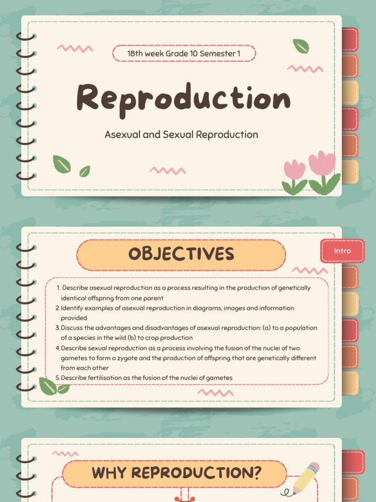 Asexual vs. Sexual Reproduction Explained | PDF | Ploidy | Sexual ...