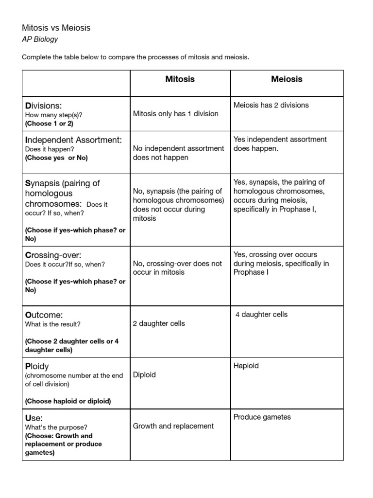 Student Worksheet - Mitosis Vs Meiosis | PDF