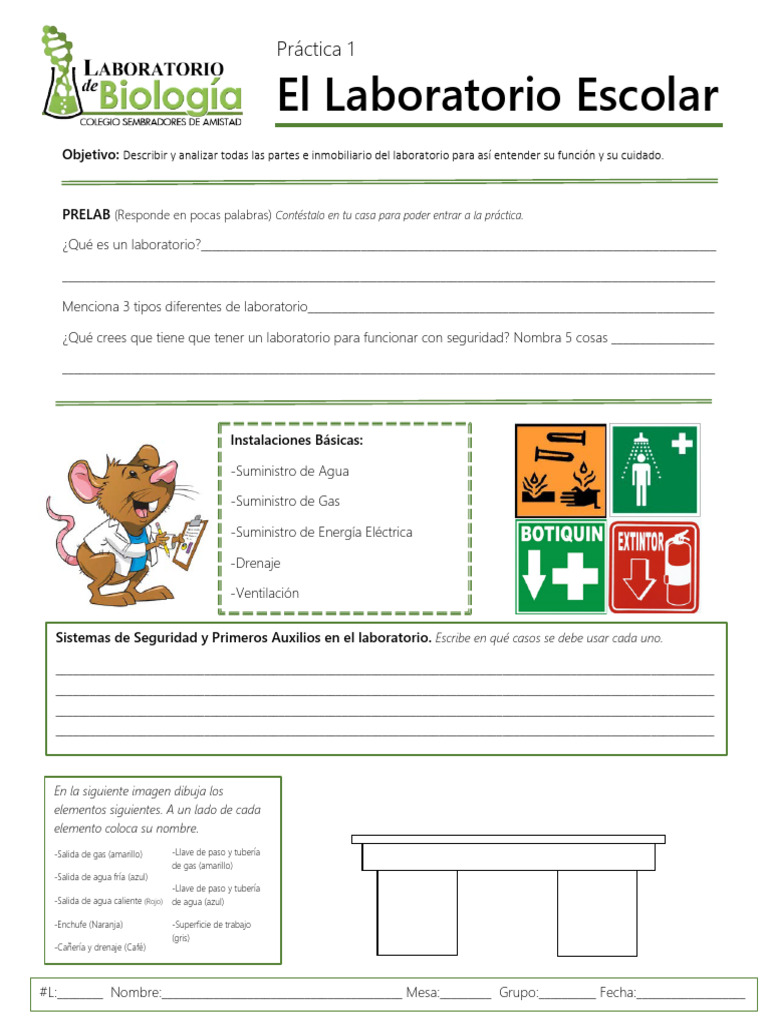 Análisis del Laboratorio Escolar y Seguridad | PDF | Laboratorios