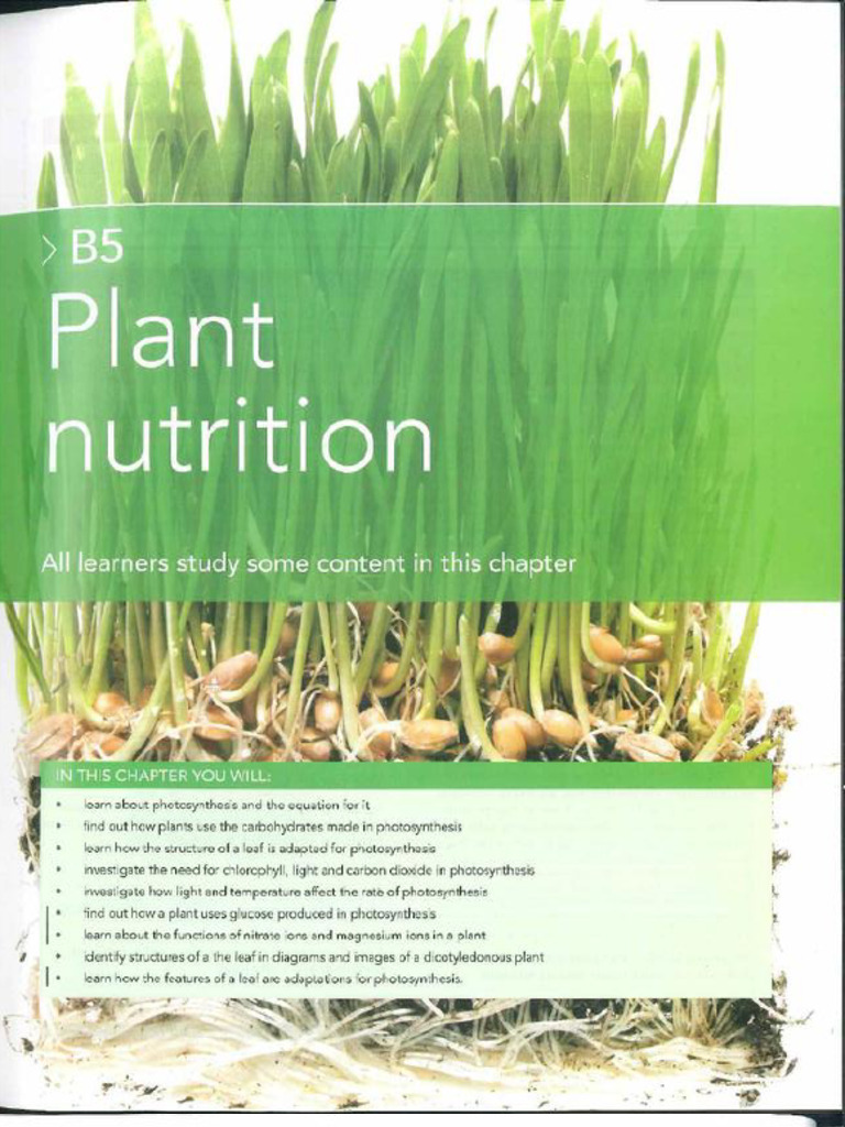 B5-Combined and Co-Ordinated Science | PDF