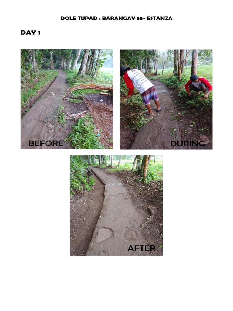 DOLE TUPAD Activities in Estanza | PDF
