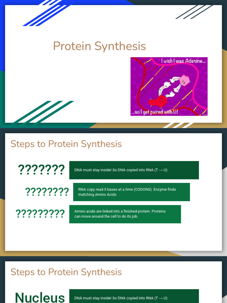 Protein Synthesis Practice | PDF | Rna | Dna