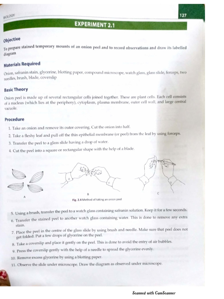 Biology Practical | PDF