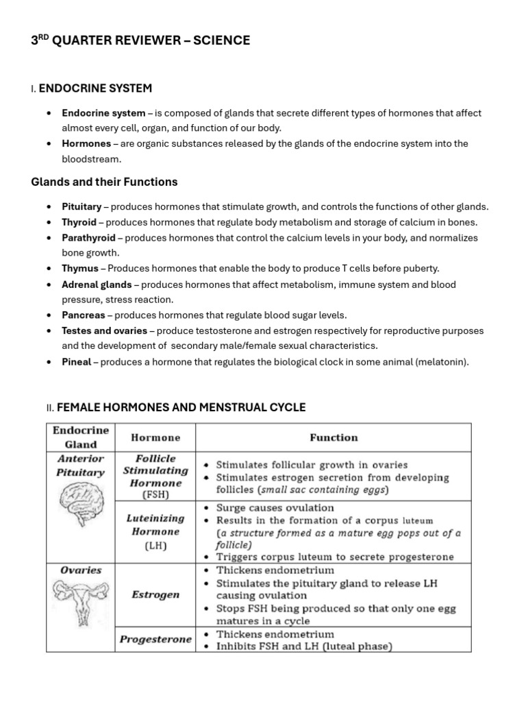 Science 3rd Quarter Review Guide | PDF | Endocrine System | Rna