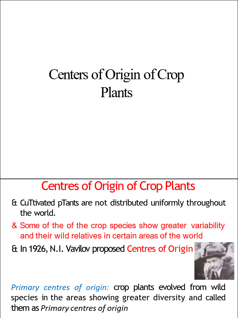 Centers of Origin for Crop Plants | PDF | Natural Selection | Wheat