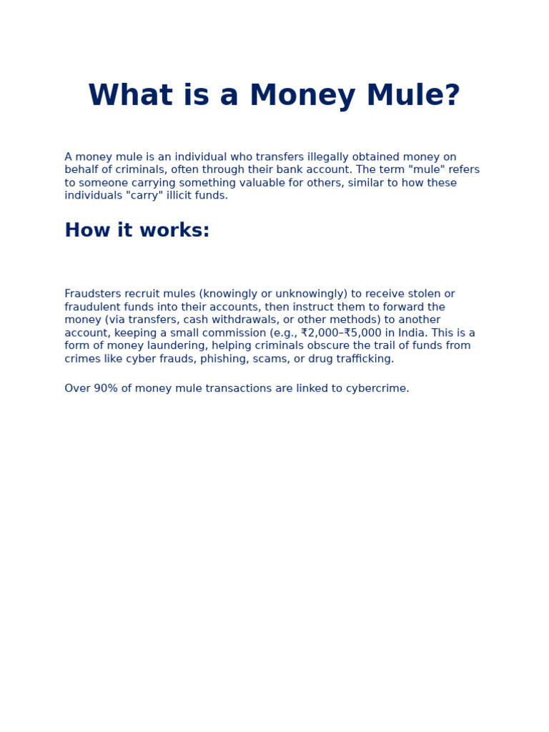 What Is A Money Mule | PDF