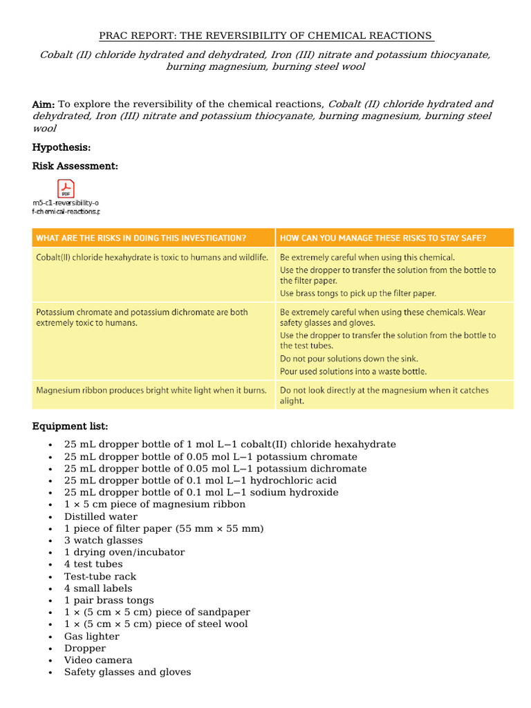 Reversibility of Chemical Reactions Report | PDF | Chemical Reactions ...