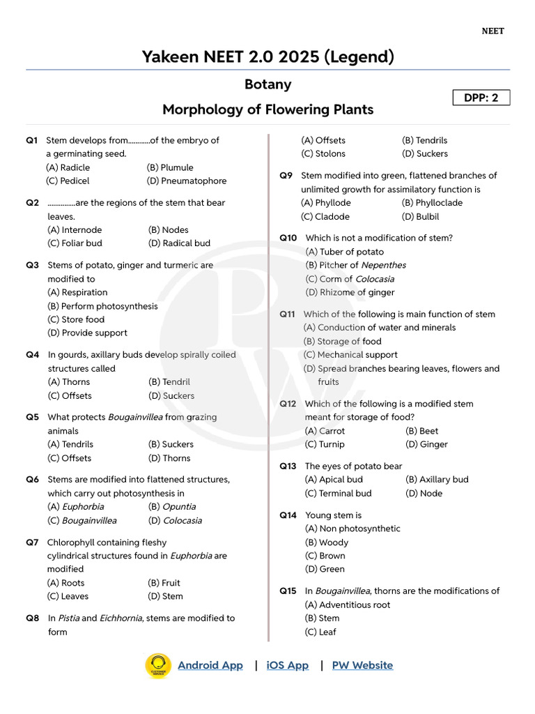 Morphology of Flowering Plants DPP 02 Yakeen NEET 2-0-2025 Legend | PDF ...