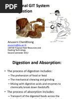 Monogastric vs Polygastric Digestive Systems | PDF | Digestion | Ruminant