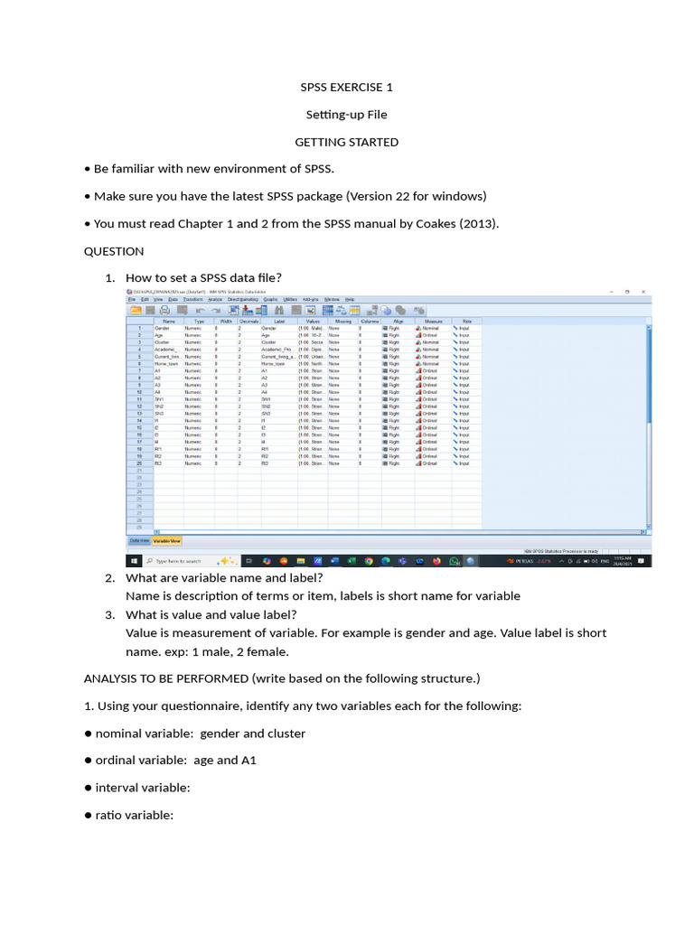SPSS EXERCISE 1 | PDF | Variance | Statistics
