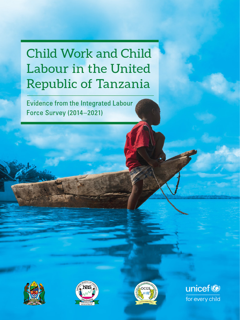 Child Work and Child Labour in the United Republic of Tanzania | PDF ...