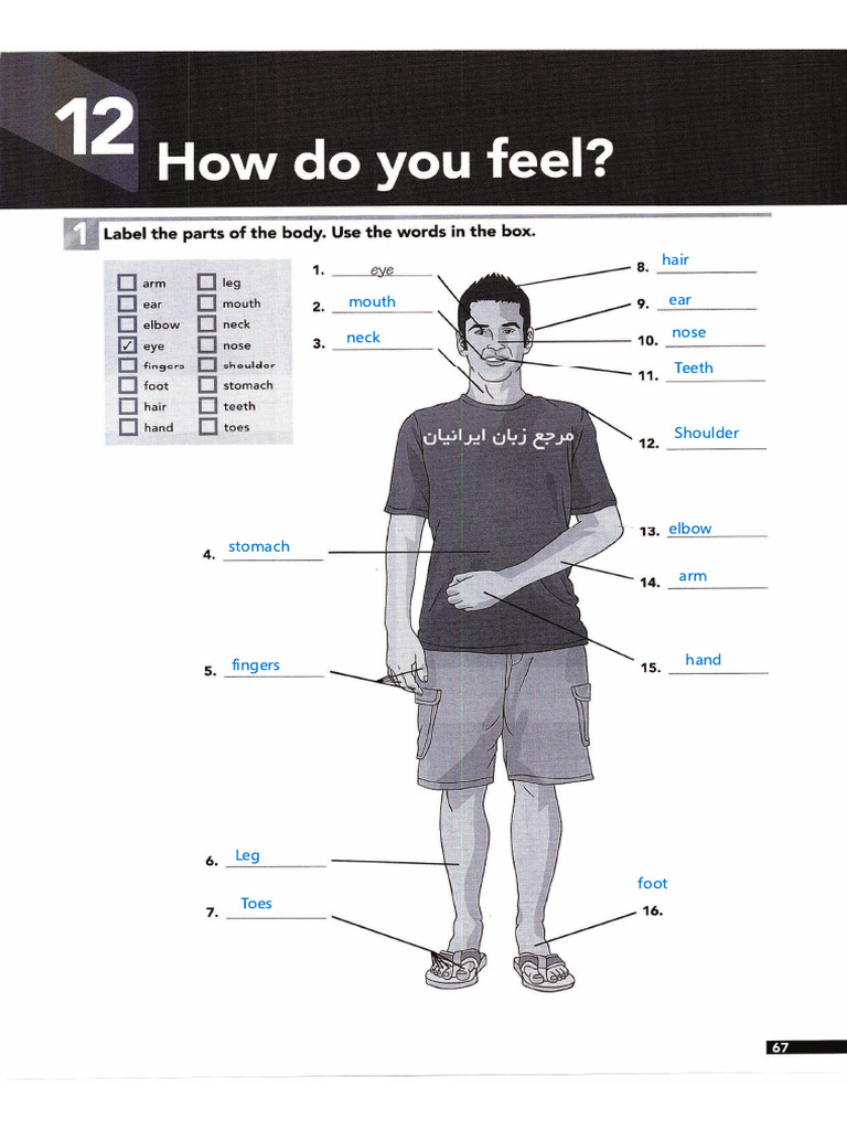 Unit 12 WB | PDF