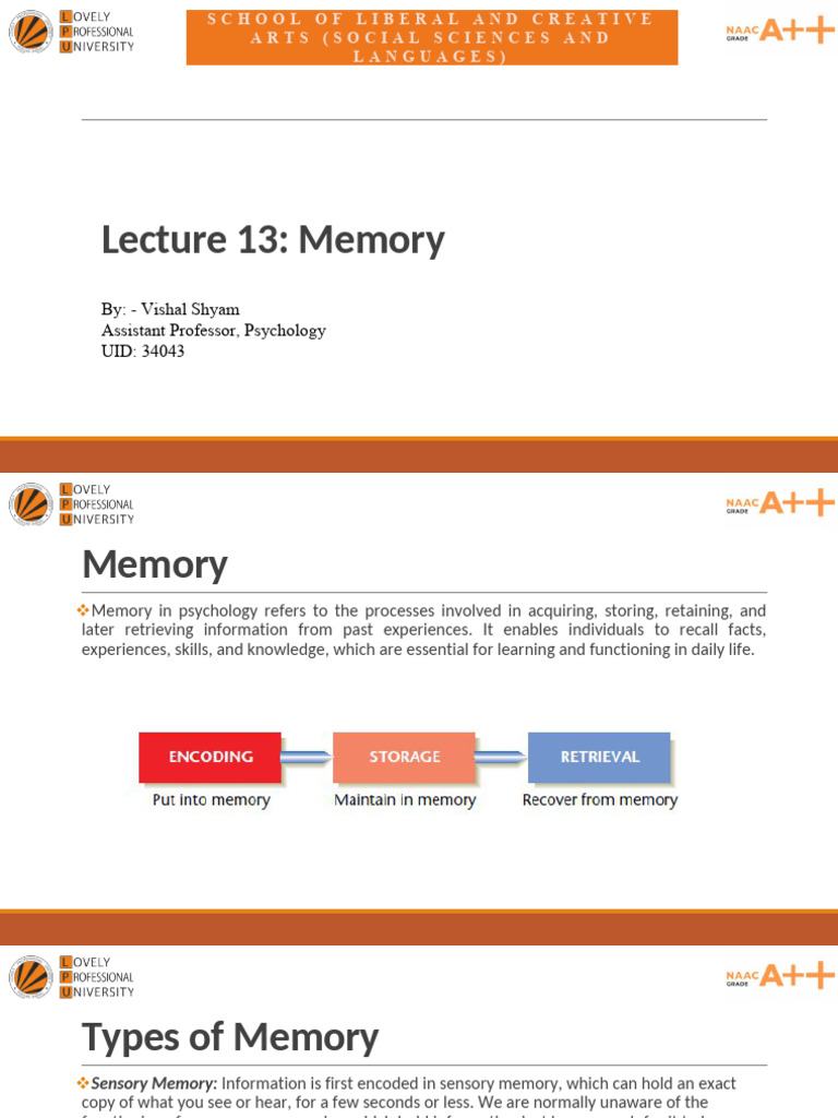 Understanding Memory in Psychology | PDF