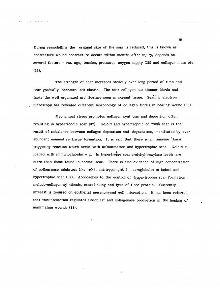 B5 | PDF | Wound Healing | Scar