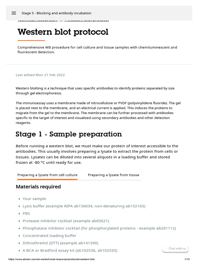 Western Blotting Protocol Guide | PDF | Western Blot | Laboratory ...