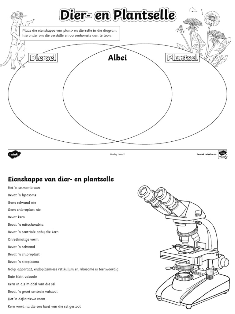 Za NST 1725533911 Plant en Dierselle Werkkaart Ver 1 | PDF