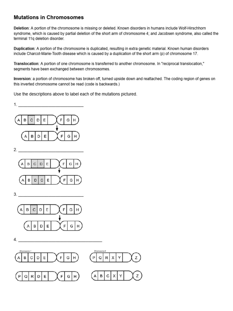 Mutations in Chromosomes | PDF