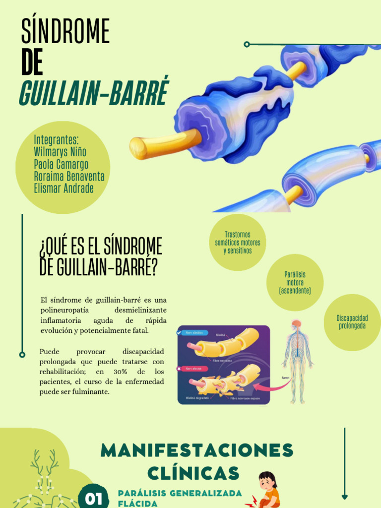 Tema Guillian Barre | PDF | Especialidades Medicas | Enfermedades y ...
