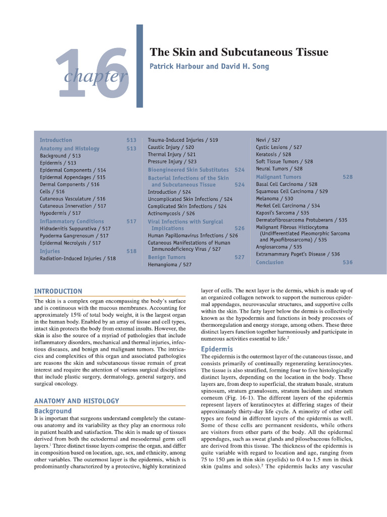 Schwartz Skin & Subcutaneous Tissue | PDF