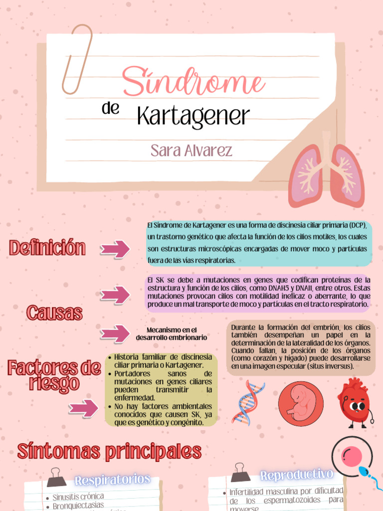 Síndrome de Kartagener: Causas y Diagnóstico | PDF | Enfermedades y ...