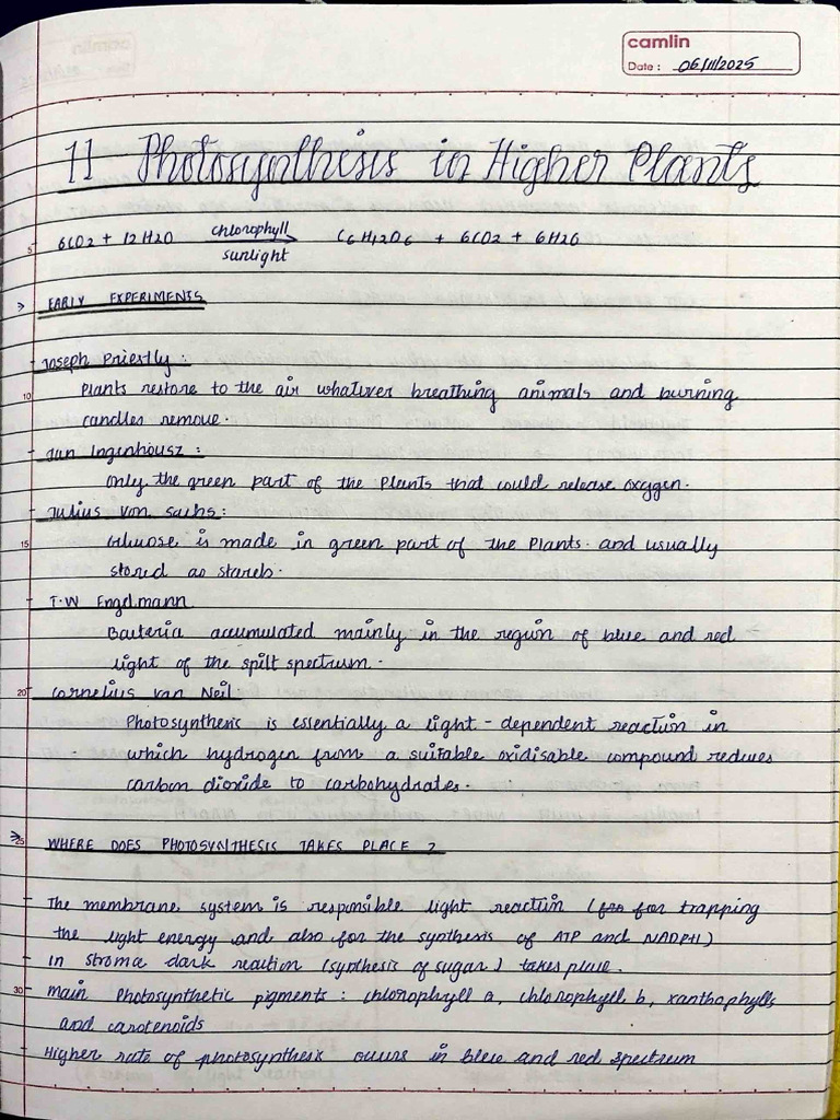 Bio Notes (1) | PDF