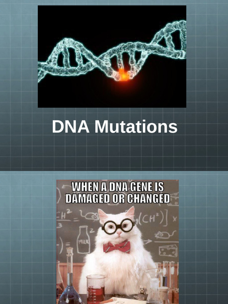 Understanding DNA Mutations and Effects | PDF | Mutation | Gene