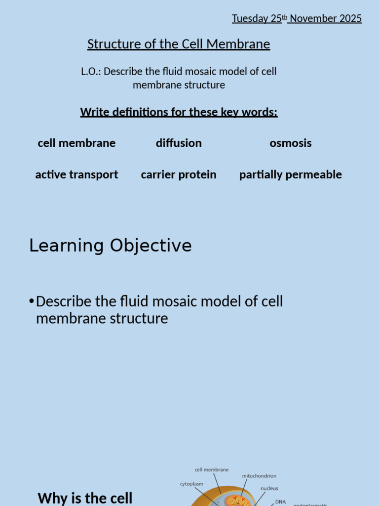 1. Structure of the Cell Membrane Ppt | PDF | Cell Membrane | Lipid Bilayer