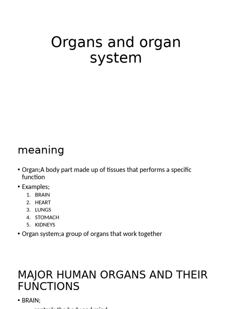 Major Human Organs and Functions | PDF