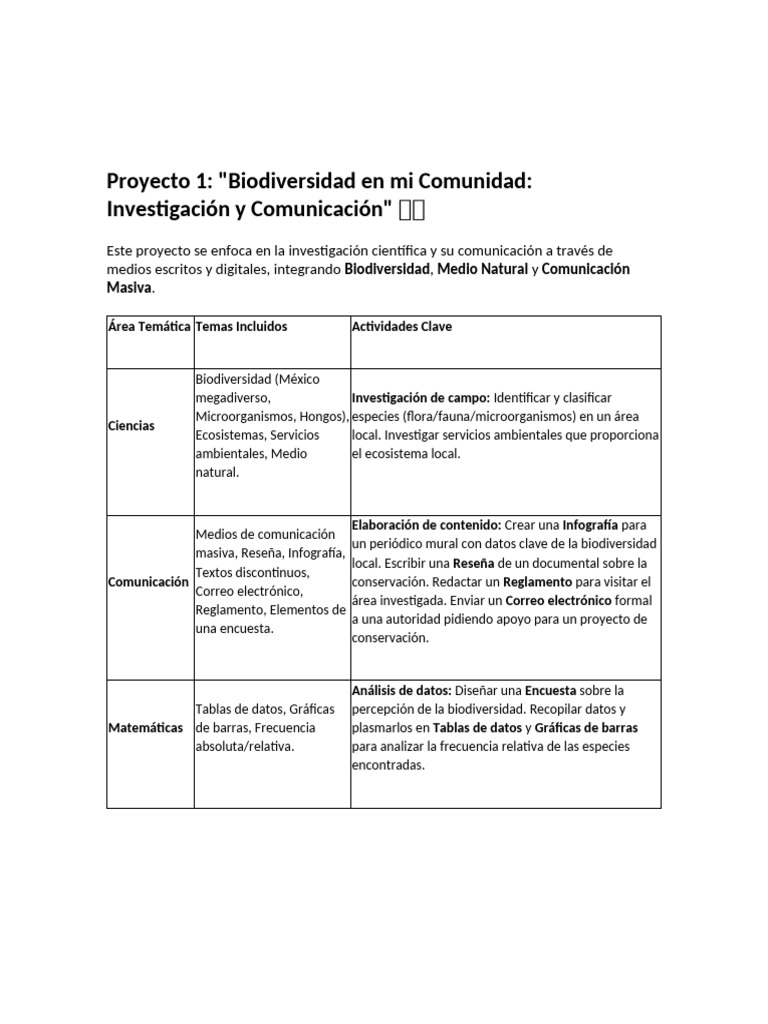 Proyecto 1 | PDF