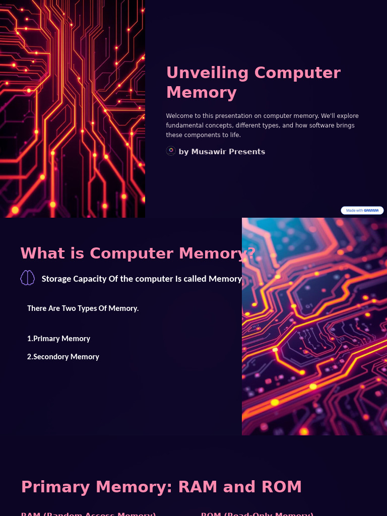 Unveiling Computer Memory | PDF | Solid State Drive | Computer Data Storage