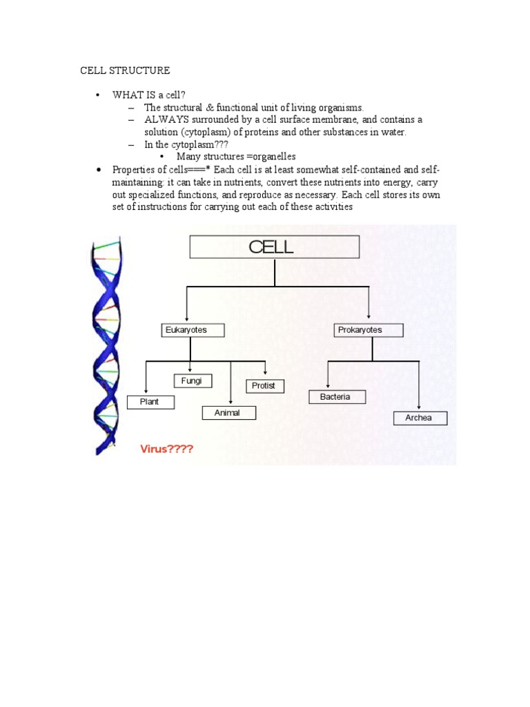 Cell Structure - Note | PDF