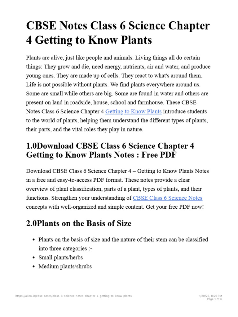 CBSE Class 6 Science: Plants Overview | PDF | Leaf | Flowers