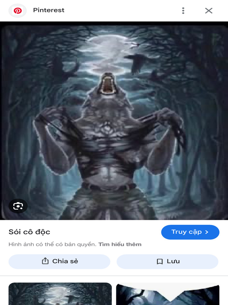 sói cô độc meme - Tìm trên Google | PDF