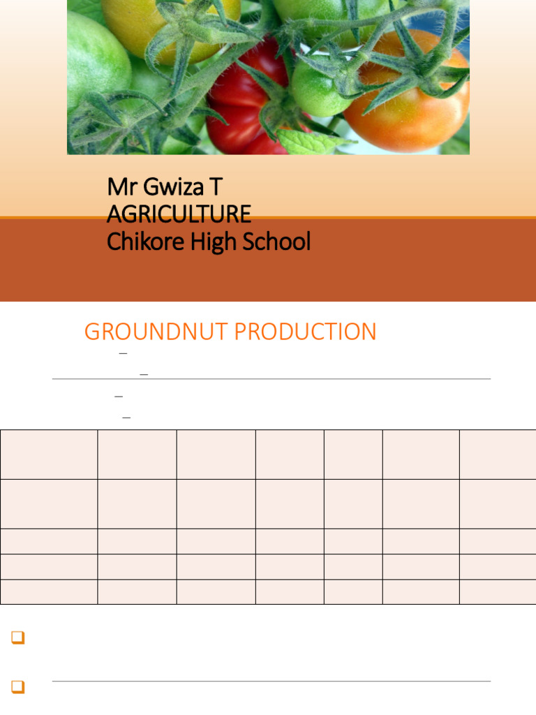 Groundnut Production Pdf Peanuts Soil