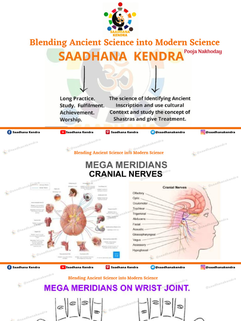 Mega Meridian - Cranial Nerve Cv | PDF