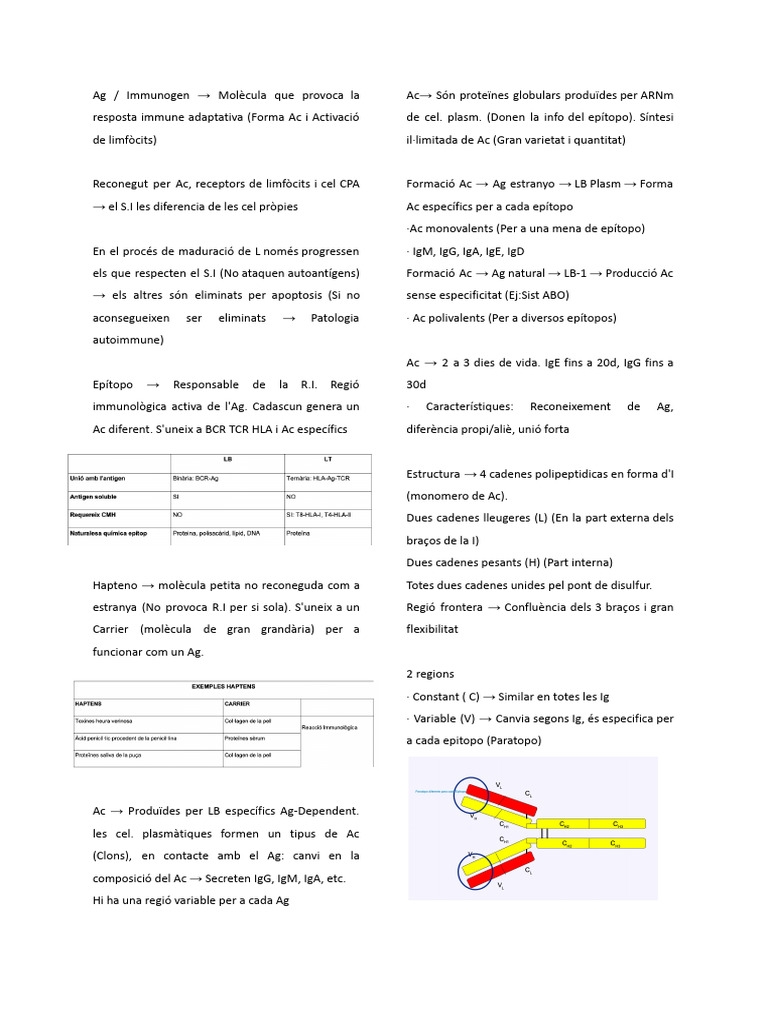 Apuntes Inmuno | PDF