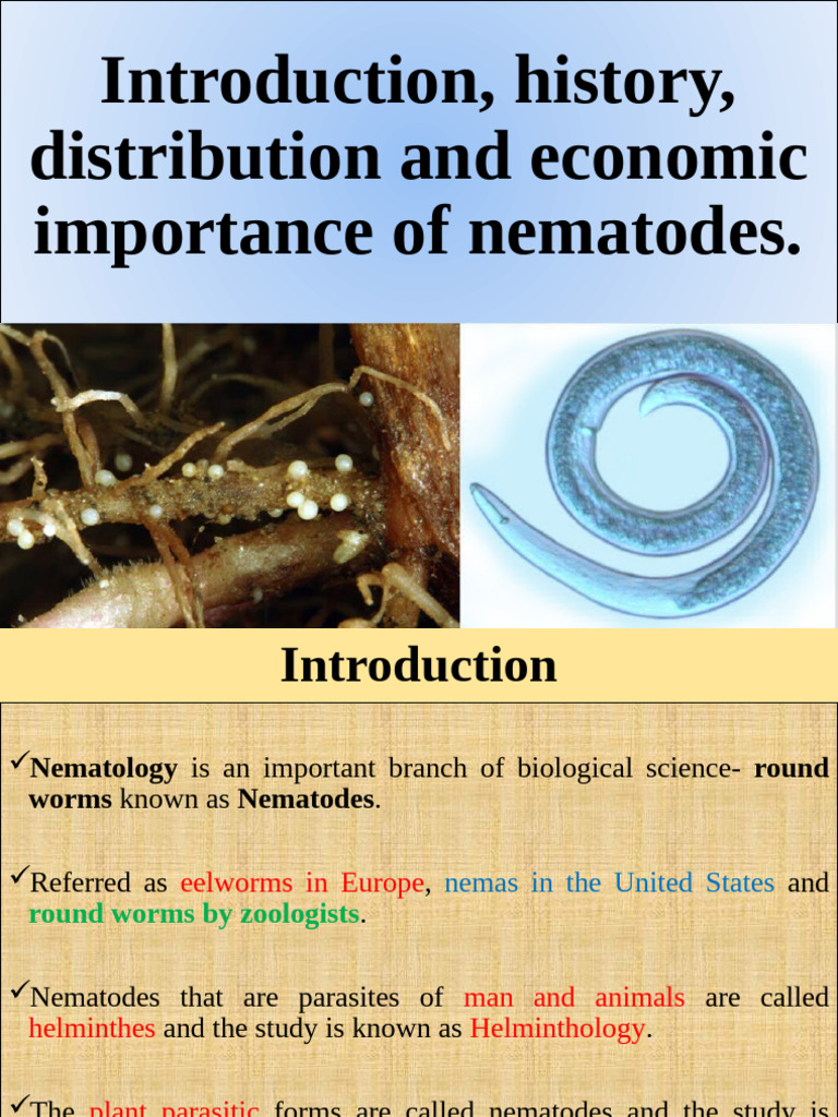Nematodes: History, Importance, and Impact | PDF | Nematode | Organisms