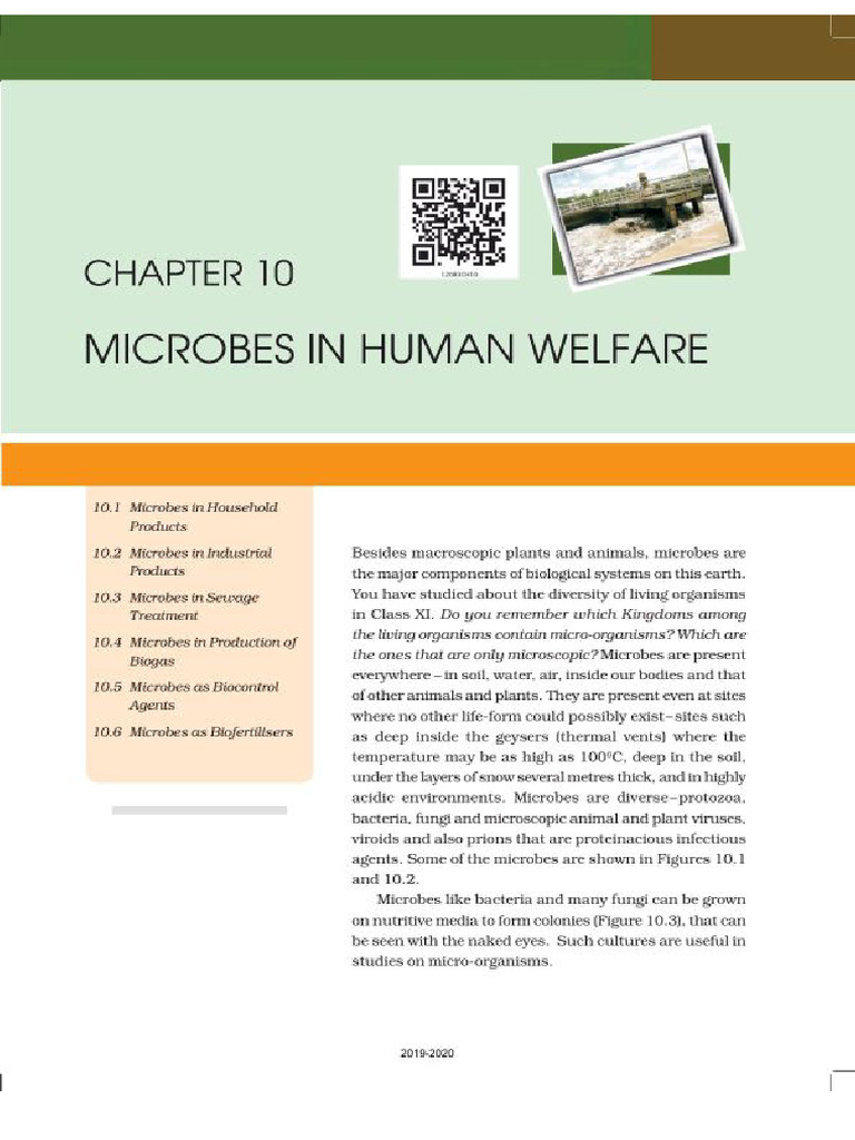 Chapter 10 Microbes in Human Welfare Deepika Notes | PDF
