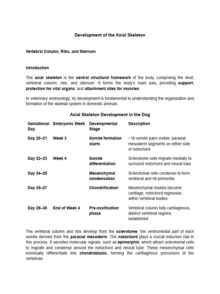 7.3 the-Axial-skeleton, Vertebral Column and Skull.pdf | PDF | Vertebra ...