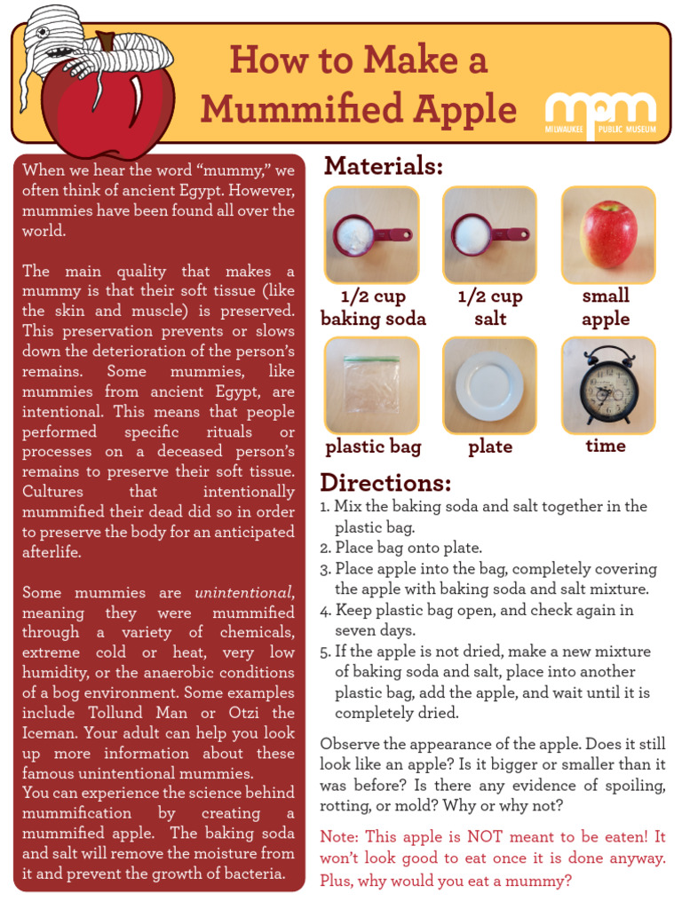 Apple Mummification Lab Guidelines | PDF