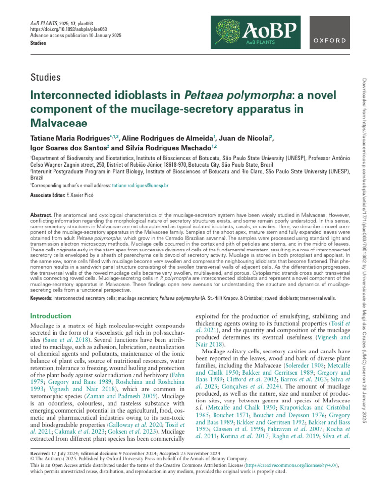 Interconnected Idioblasts in Peltaea Polymorpha | PDF | Cytoplasm | Leaf