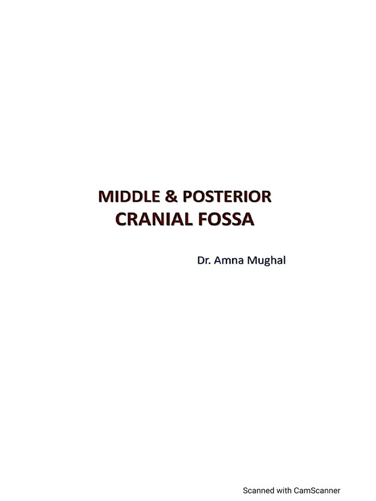 middle and posterior cranial fossa jsmu - Copy - Copy | PDF